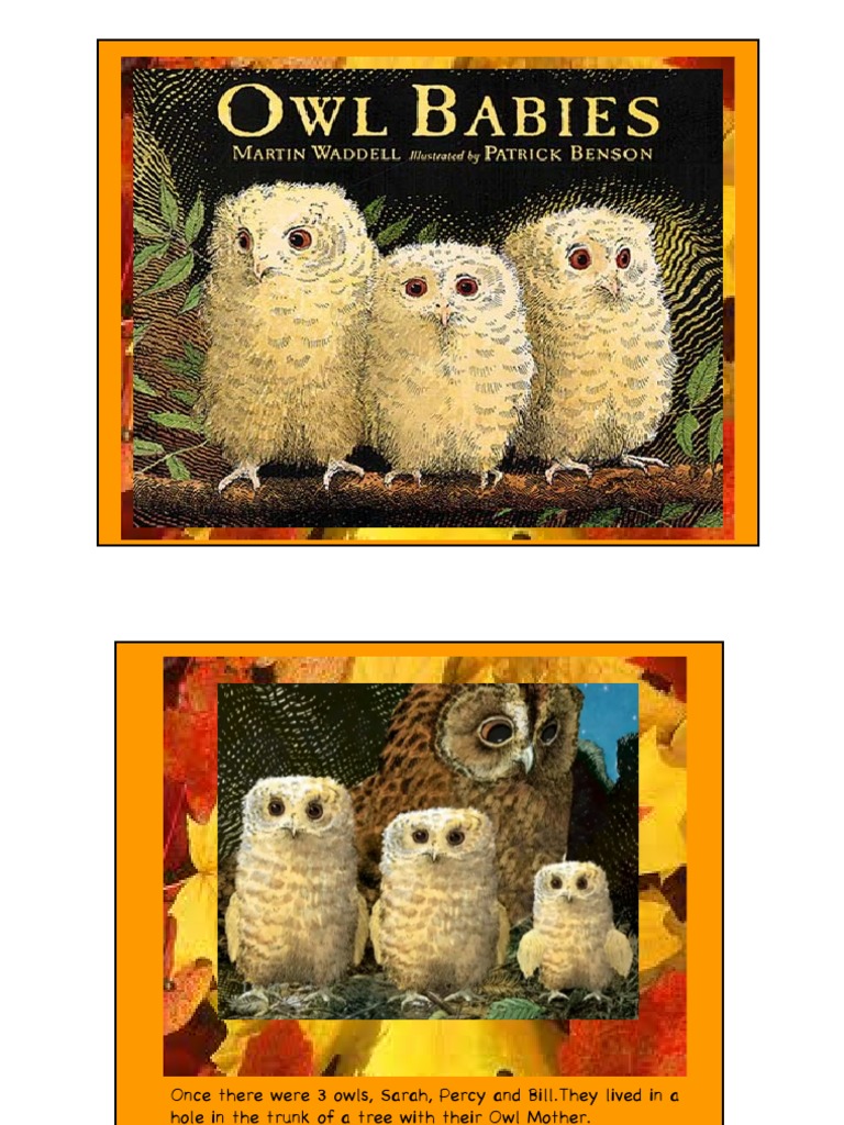 Martin Waddell y Patrick Benson-Owl Babies | PDF