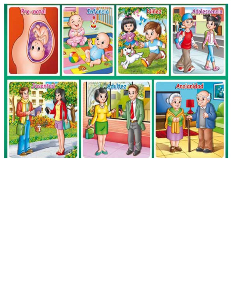Etapas de La Vida | PDF