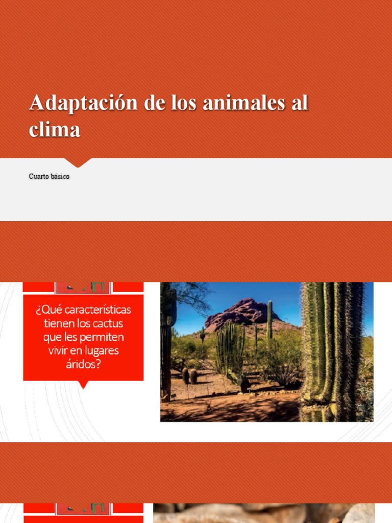 Adaptacion de Los Animales Al Clima 4to | PDF