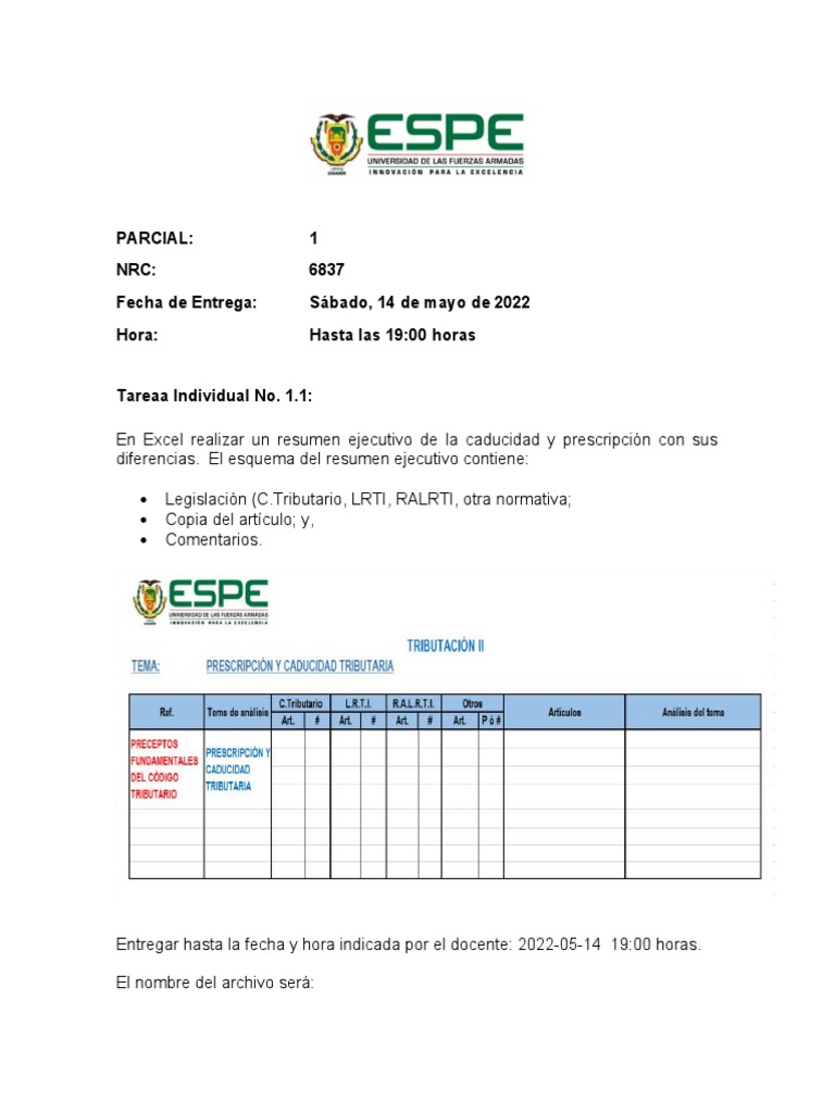 Resumen Ejec - Caducidad-Prescripcion | PDF