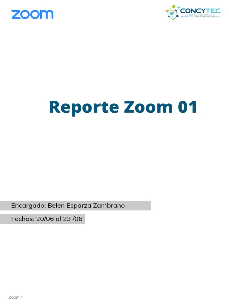 Reporte Zoom 1 | PDF