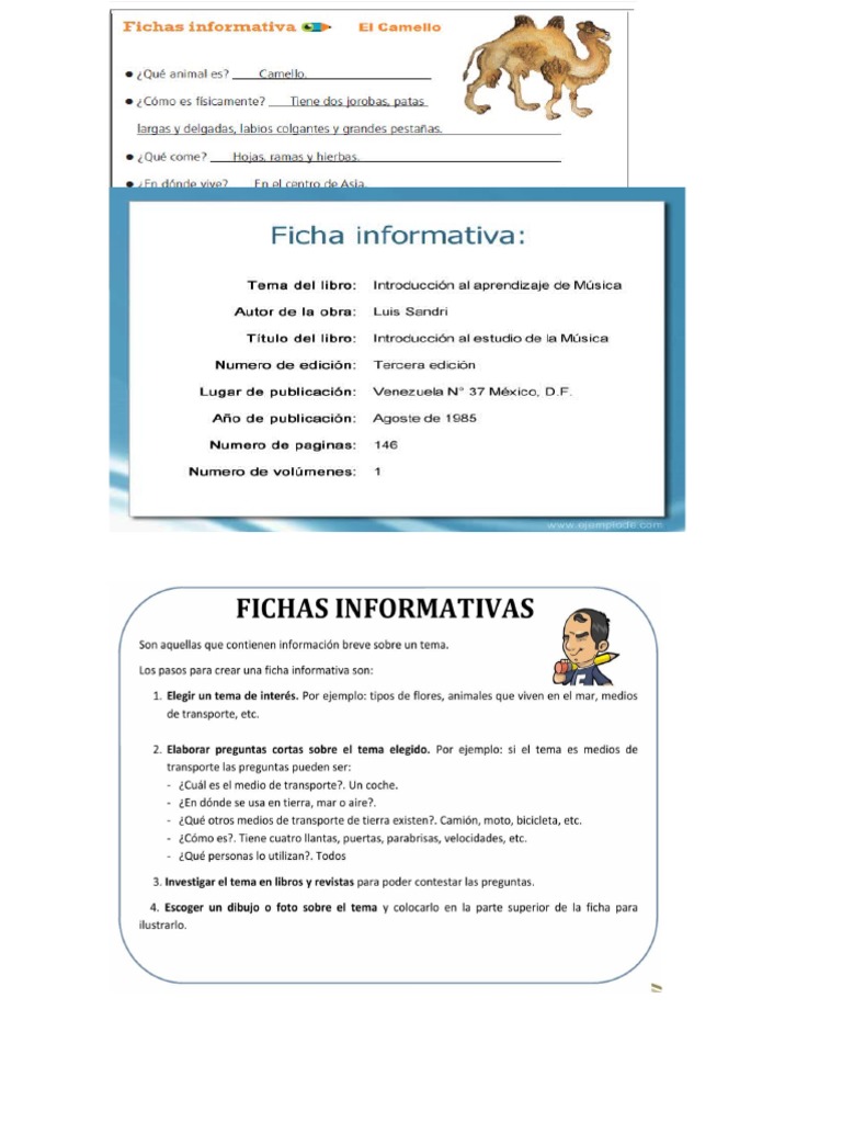 fichas informativas | PDF