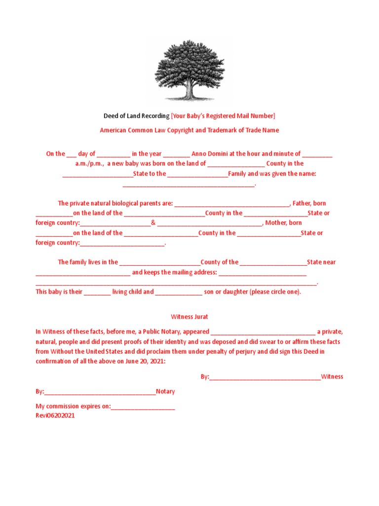 Baby Deed of Land Recording - SSNotary 1 | PDF | Notary Public | Civil ...