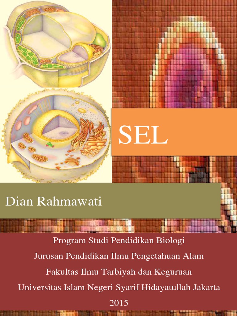 Ebook Sel | PDF
