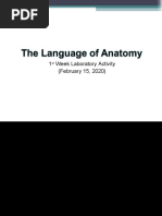 Kaplan Anatomy Coloring Book | PDF | Foot | Human Leg