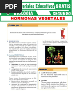 Phylum Arthropoda - Infografía | PDF | Insectos | Araña