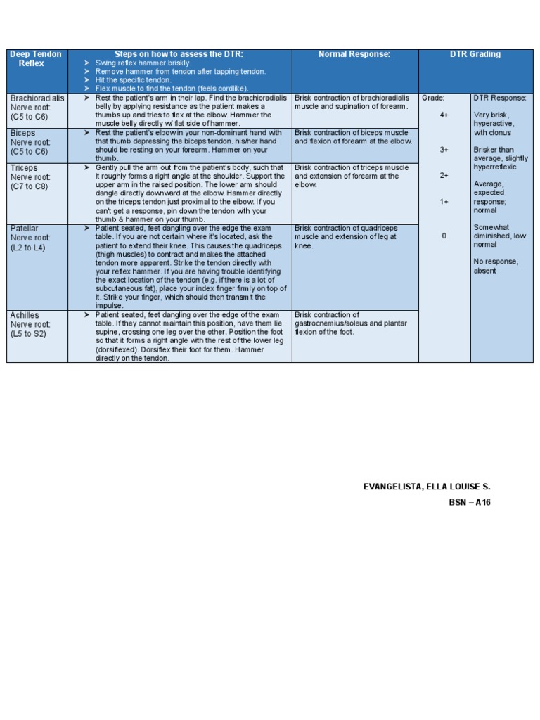 Deep Tendon Reflex Steps On How To Assess The DTR: Normal Response: DTR ...