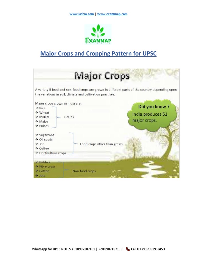 Major Crops and Cropping Pattern For UPSC CSE | PDF | Agriculture | Rice