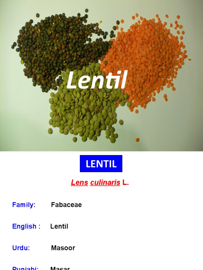 14 Lentil | PDF | Lentil | Agriculture