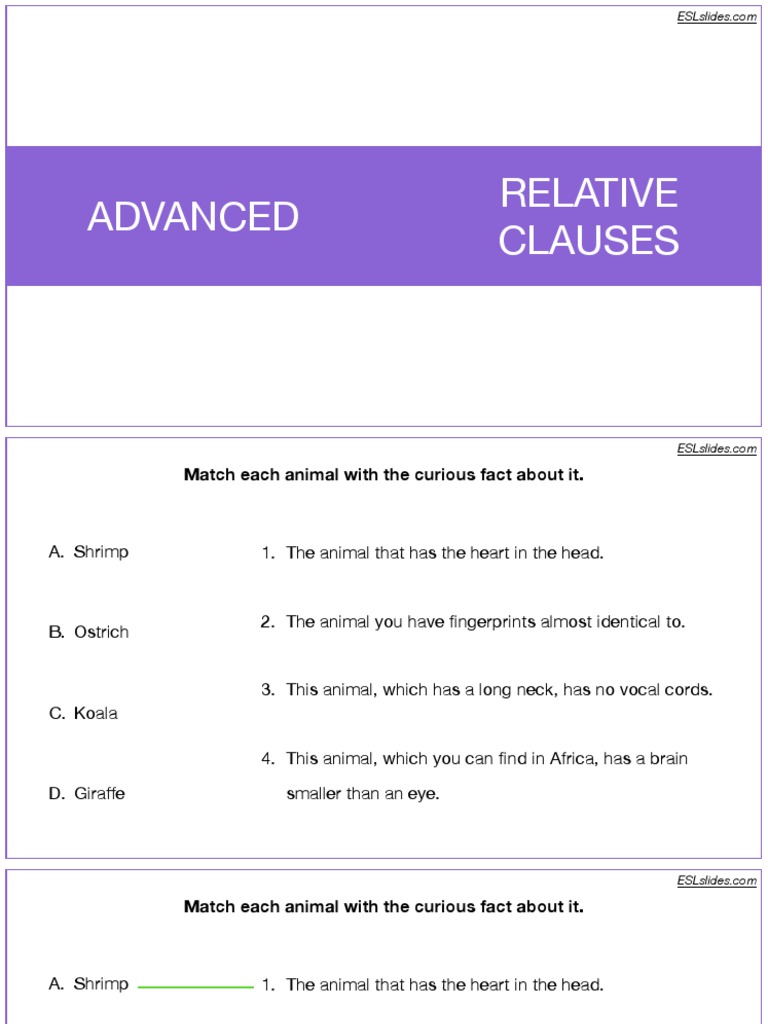 Advanced Relative Clauses | PDF | Subject (Grammar) | Pronoun