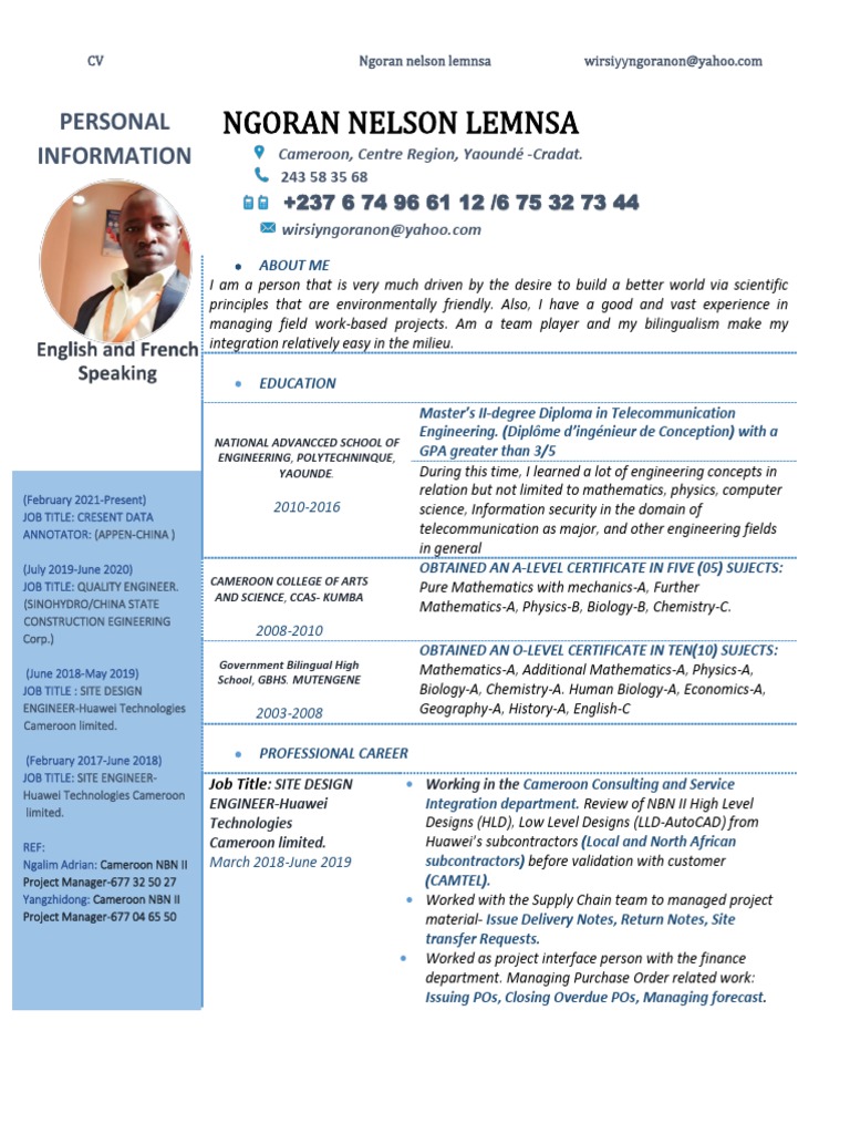 CV_NGORAN_NELSON | PDF | Engineering | Computing