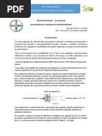 ABM Protocol #36 Matite Revisado 2022 | PDF | Seio | Inflamação