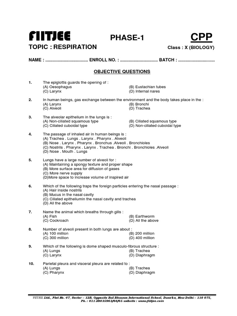 CPP - 10th - Ph-1 - Respiration | PDF | Lung | Respiratory System