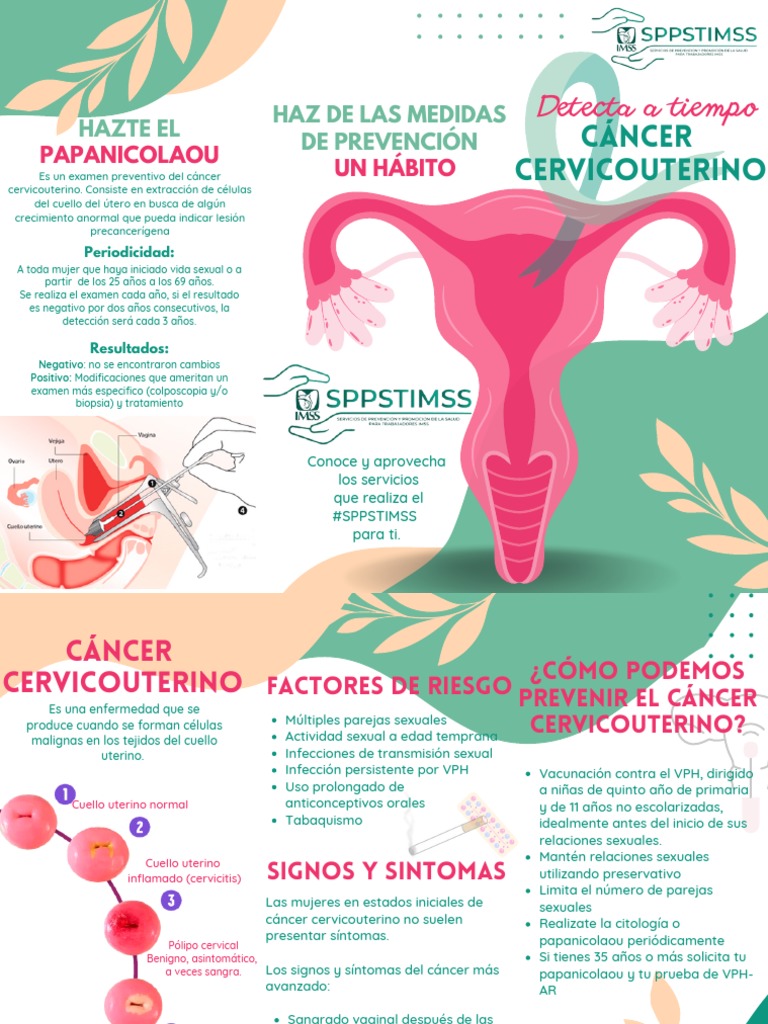 Folleto Cacu | PDF | Salud pública | Neoplasias