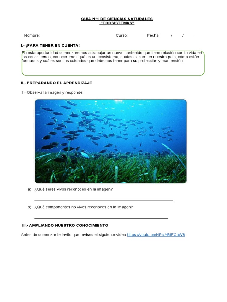 Guía de Ecosistemas y sus Interacciones | PDF | Ecosistema | Depredación