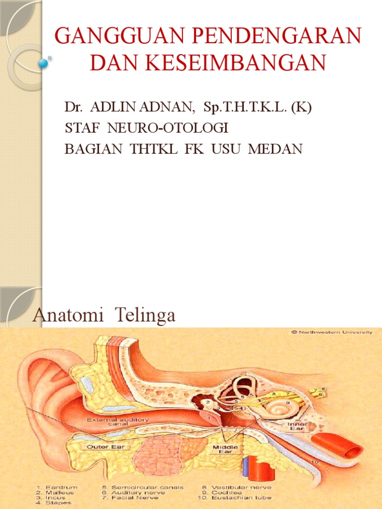 Gangguan Pendengaran oleh Dr. Adlin Adnan | PDF
