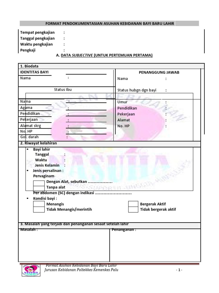 Format Askeb BBL | PDF