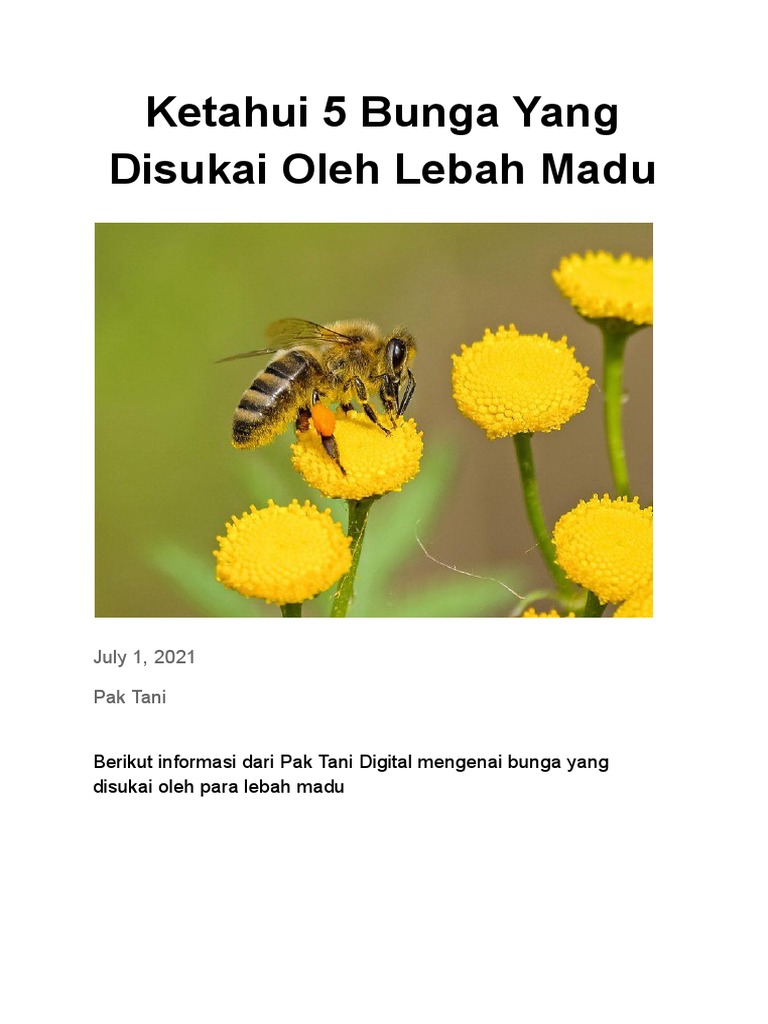 5 Bunga Yang Disukai Oleh Lebah Madu | PDF