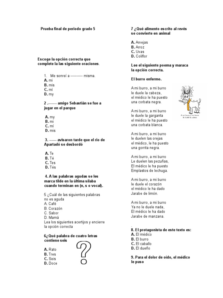 Prueba de Lenguaje 5 | PDF