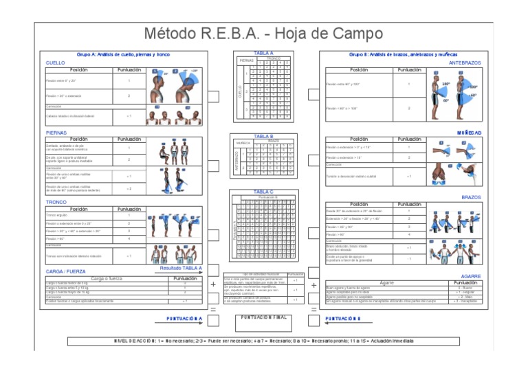 REBA Model | PDF | Fuerza