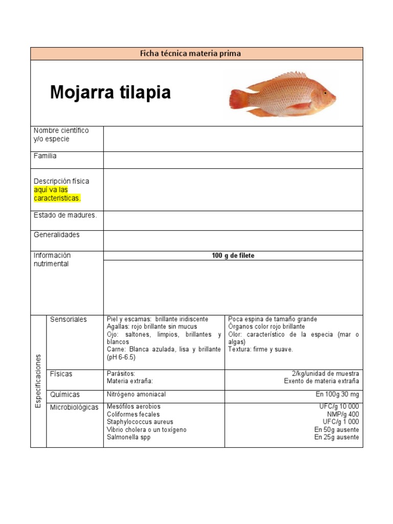 Ficha Técnica Materia Prima | PDF