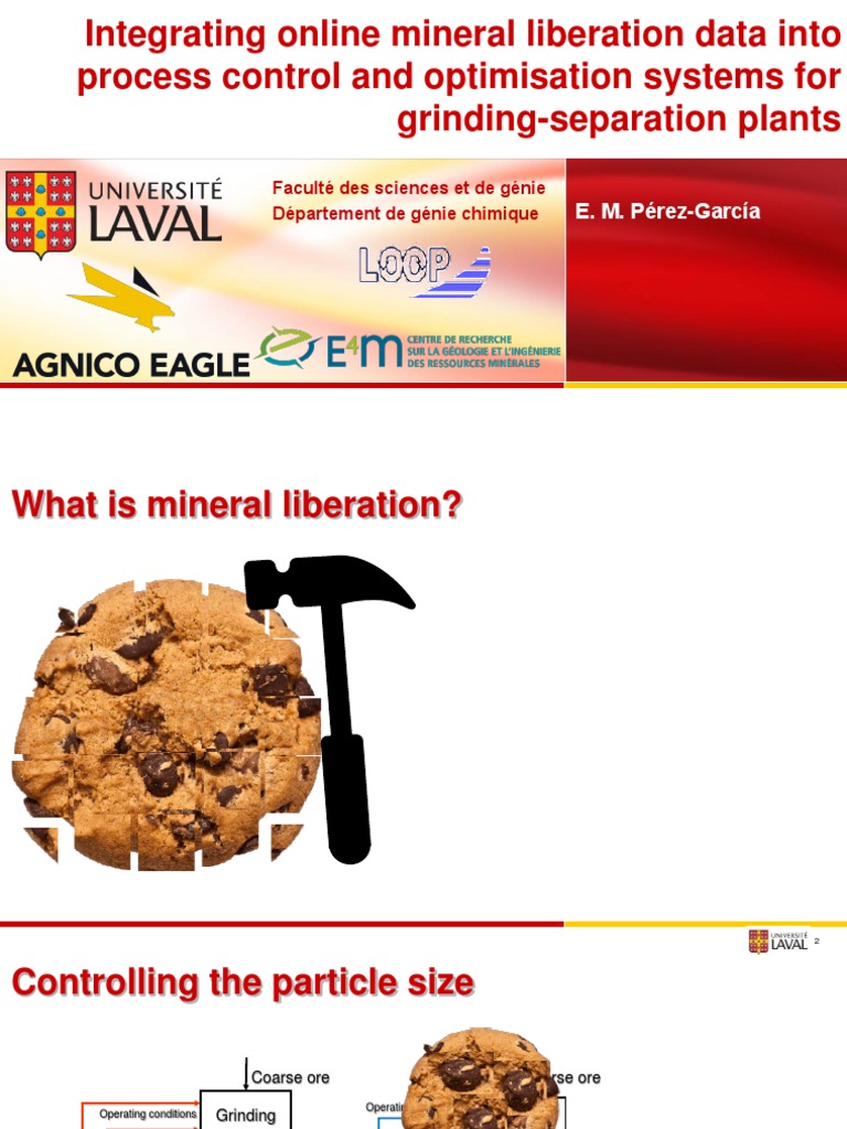 COAH - Integrating Online Mineral Liberation Data Into Process Control and Optimisation Systems ...