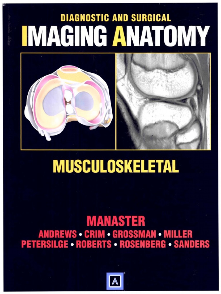 Anatomia MSK | PDF | Shoulder | Musculoskeletal System