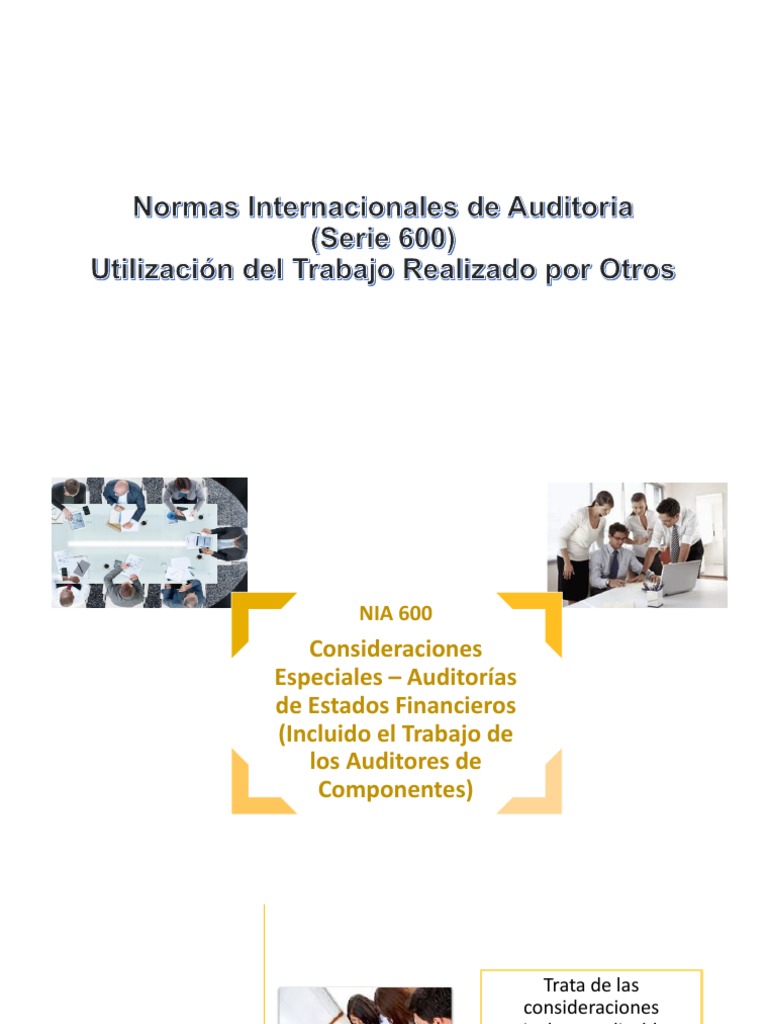 Nia 600 | PDF | Auditoría | Contralor