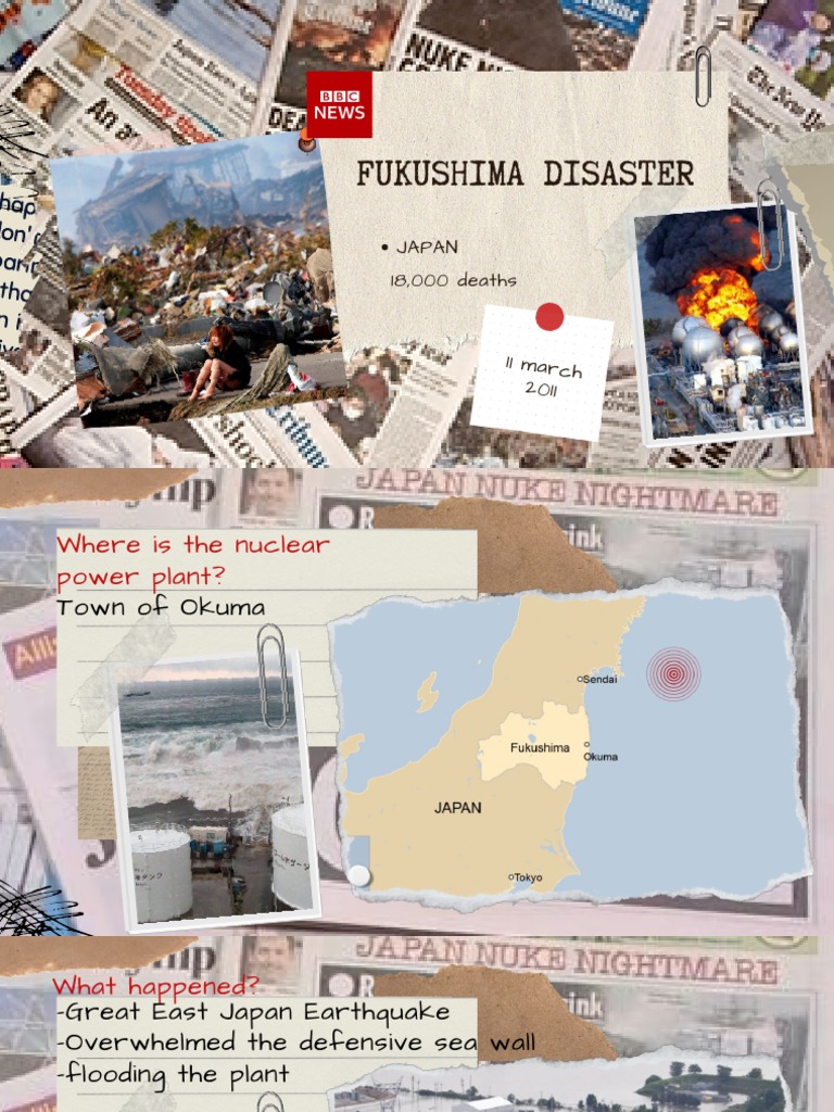 Fukushima Disaster: Japan 18,000 Deaths | PDF