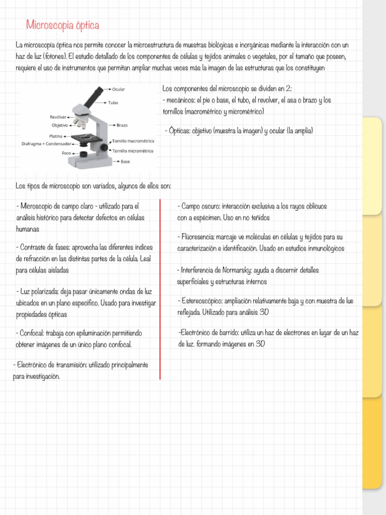 Tarea 1 | PDF | Óptica | Microscopio