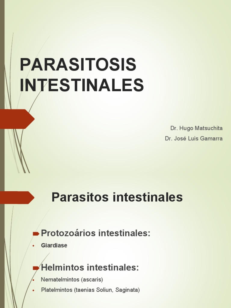 Aula 06 - Parasitas Intestinais | PDF | Anatomia | Gastroenterologia