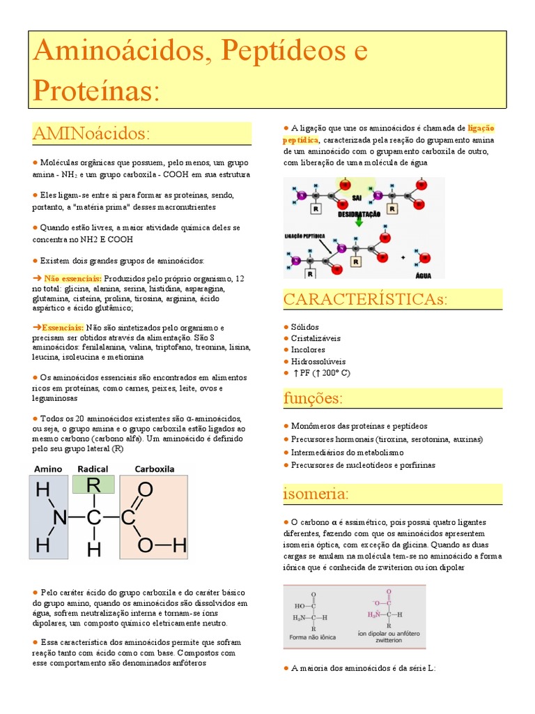 Resumo: Aminoácidos, Peptídeos e Proteínas | PDF | Aminoácido | Proteínas