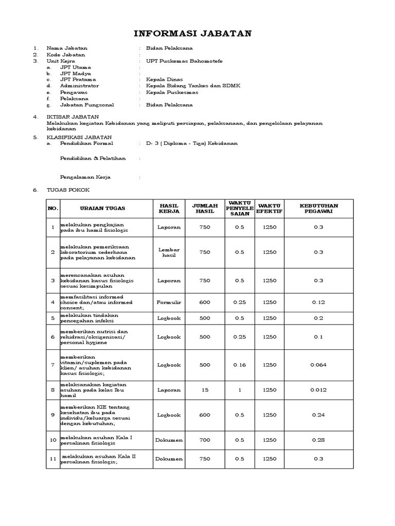 7.6 Anjab Bidan Terampil | PDF
