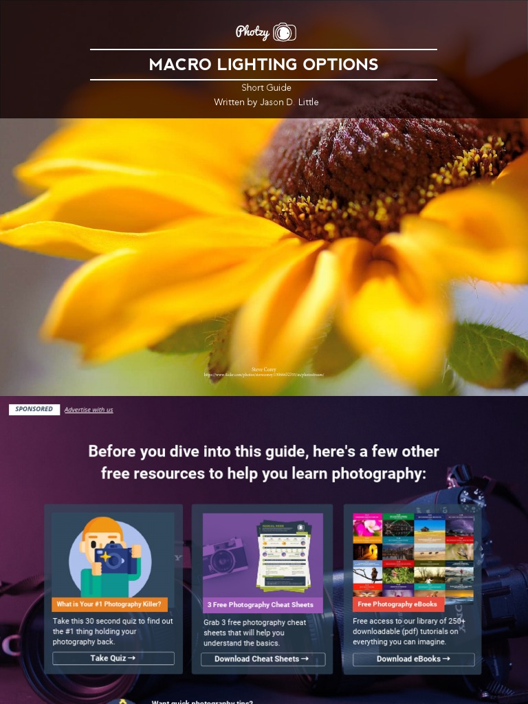 Macro Lighting Options: Photzy | PDF | Flash (Photography) | Macro ...