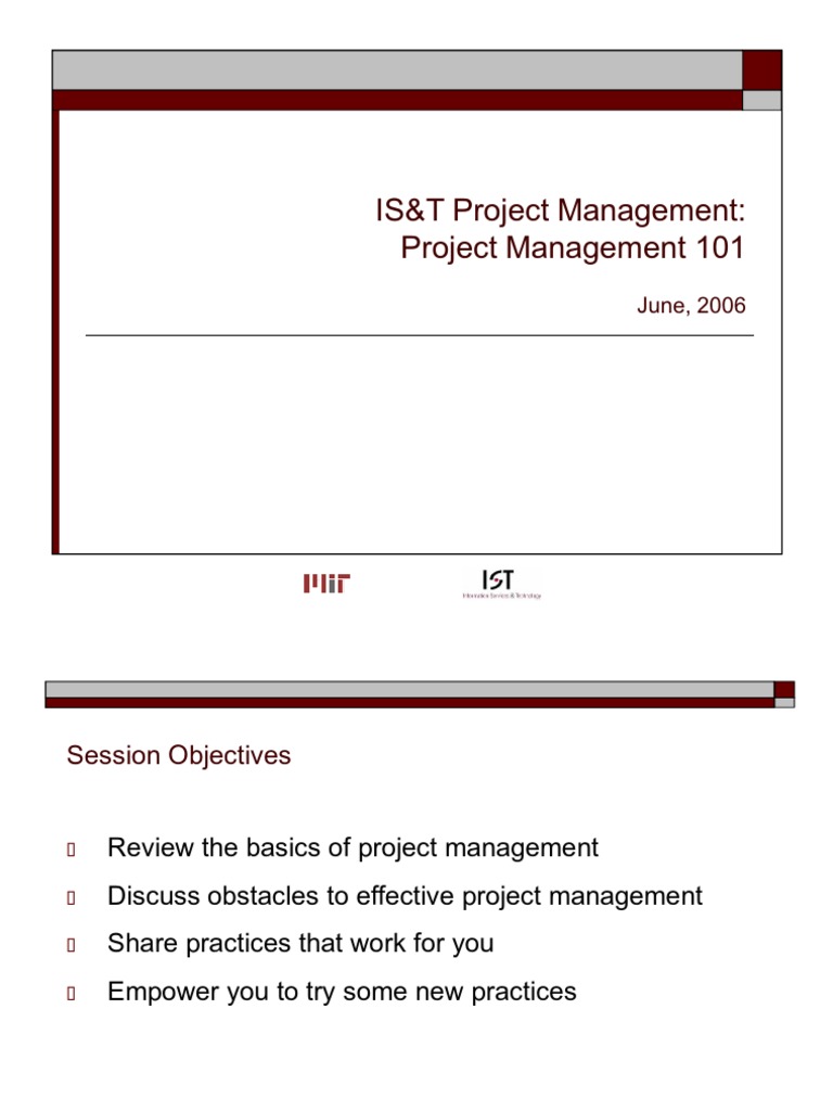 IT Project Management 101 | PDF | Project Manager | Project Management