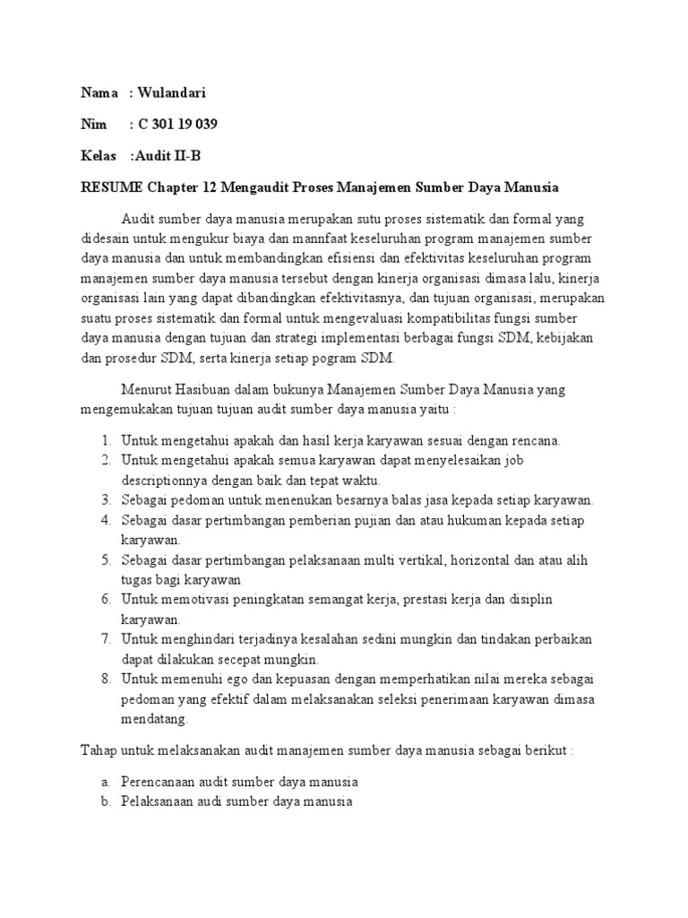 Resume Audit 3 | PDF