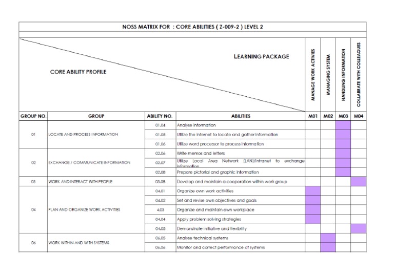 NOSS MATRIX LVL 2 | PDF