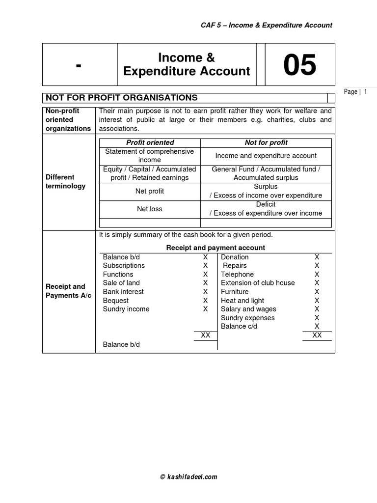NPO - Income &expenditure | PDF | Expense | Depreciation