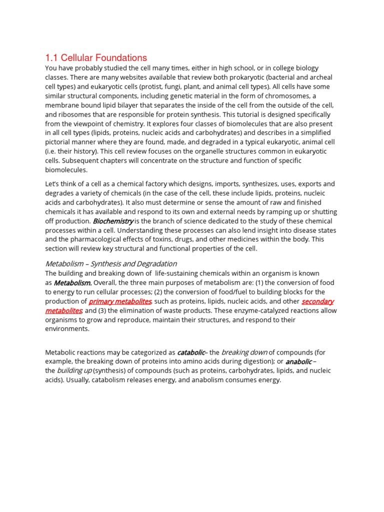 1.1 Cellular Foundations | PDF | Cell (Biology) | Metabolism