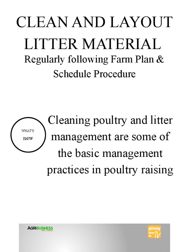 Poultry Litter Management Practices | PDF