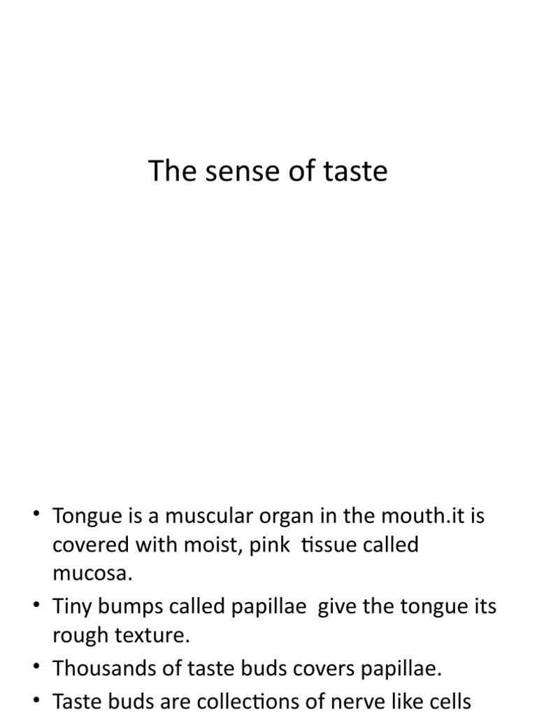 Smell and Taste | PDF | Taste | Senses
