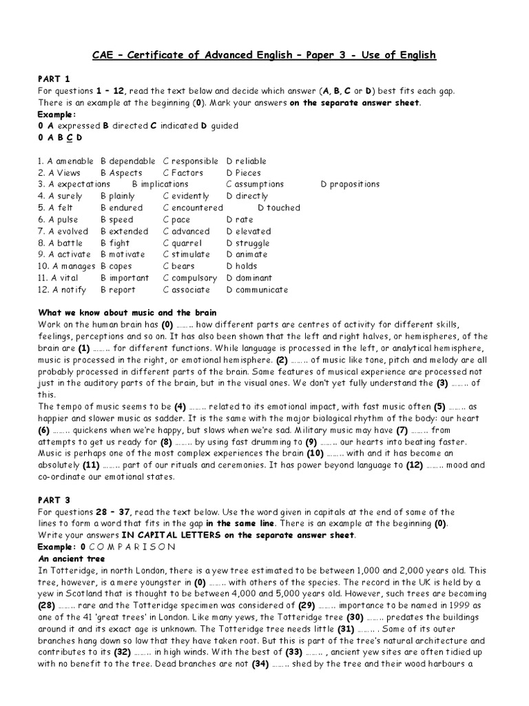 CAE - Certificate of Advanced English - Paper 3 - Use of English | PDF ...
