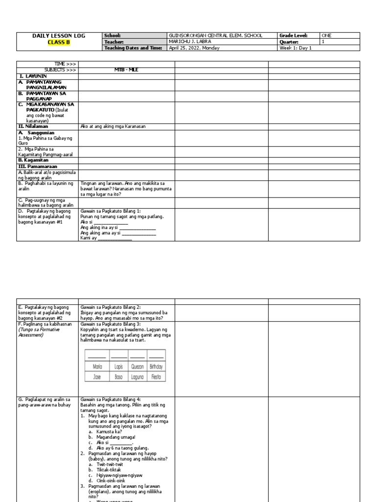 Daily Lesson Log | PDF