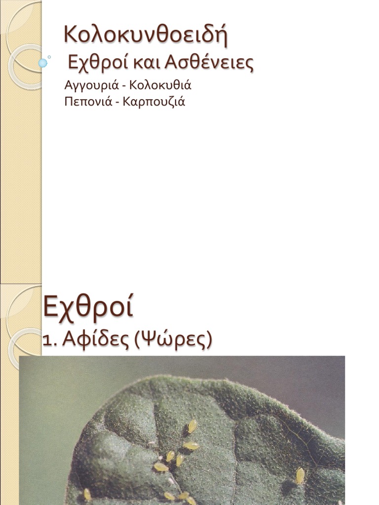 ΕΧΘΡΟΙ ΚΟΛΟΚΥΝΘΟΕΙΔΩΝ | PDF