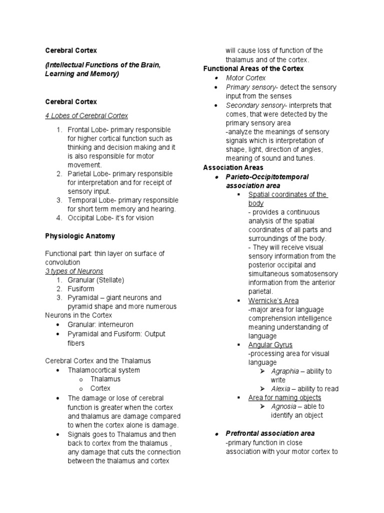 Motor Cortex: (Intellectual Functions of The Brain, Learning and Memory) | PDF | Cerebral Cortex ...