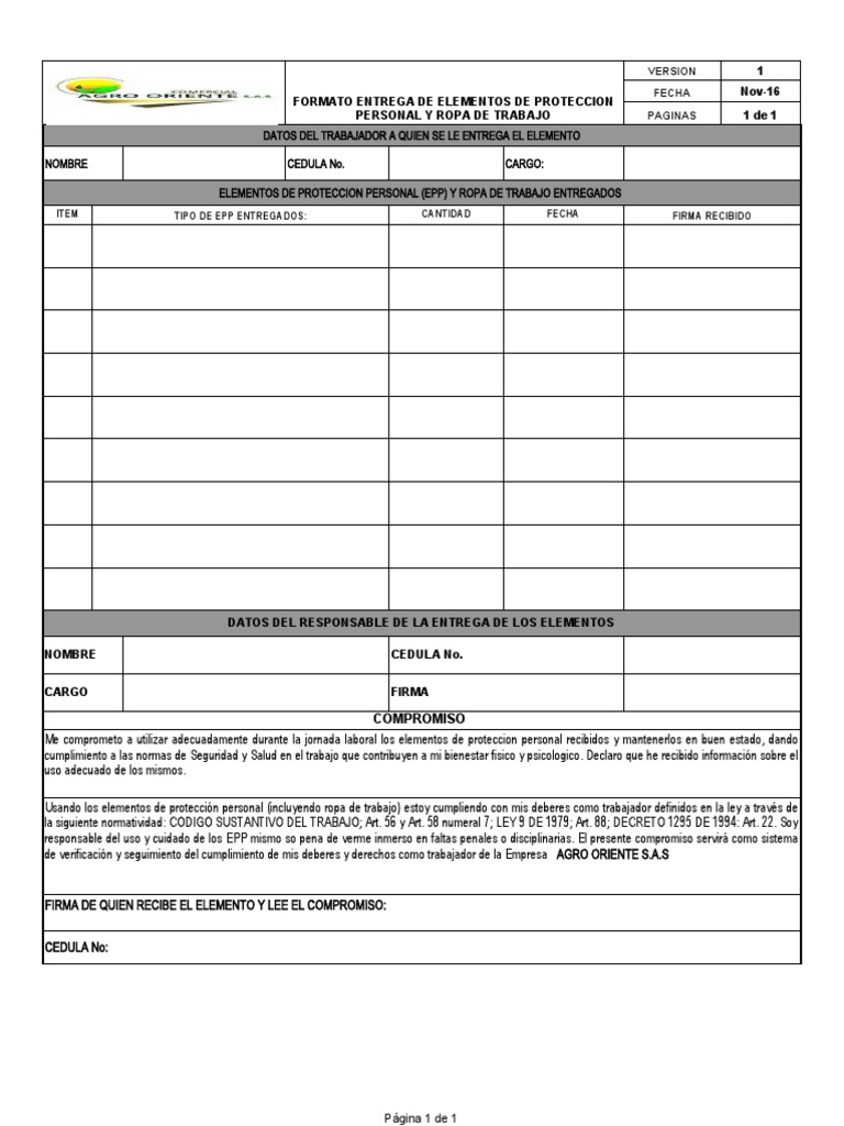 FORMATO ENTREGA INDIVIDUAL DE EPP | PDF