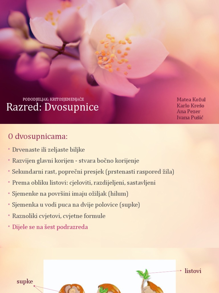 Dvosupnice - Biologija | PDF