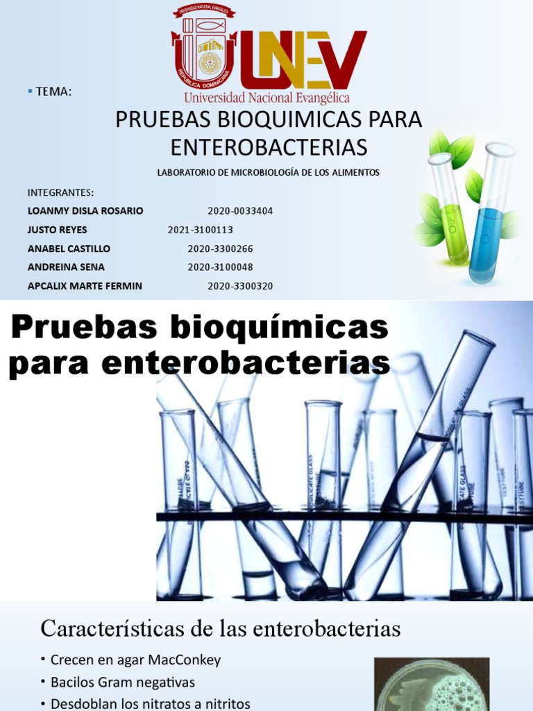 Pruebas Bioquimicas para Enterobacterias | PDF | Química | Las bacterias