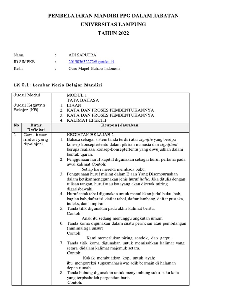 LK.01 Profesional | PDF