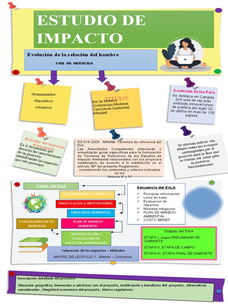 Infografia Eia | PDF | Evaluación de impacto ambiental